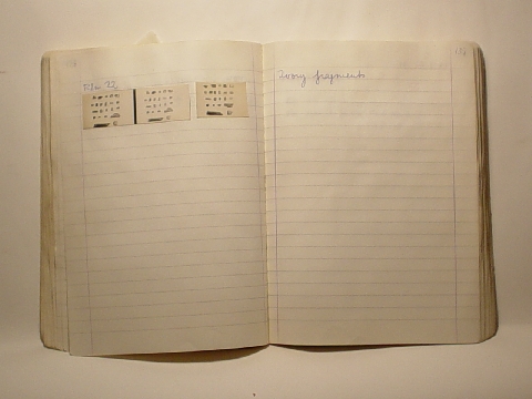 Open Context: Trench Book IE IV:138-139